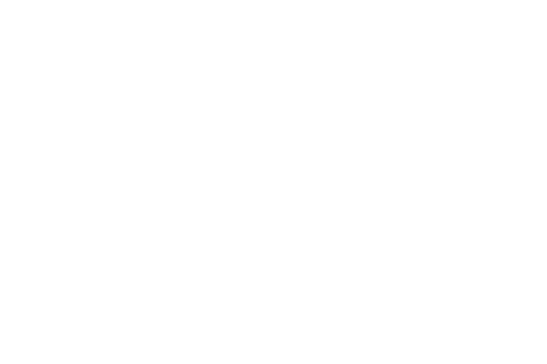 Real Estate Agent Frisco TX | The Jan Richey Team